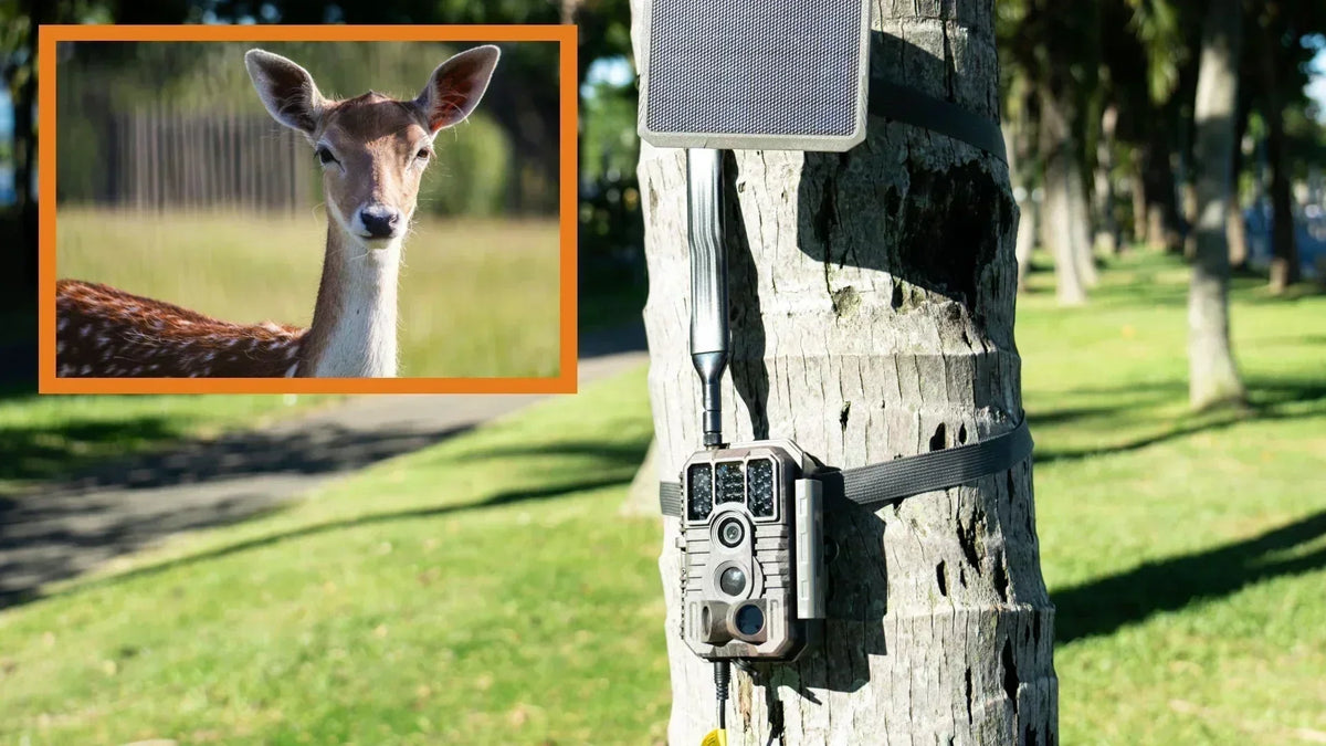 2024 GardePro New Trail Camera Introduction: X60P Live Max, E9P, and A