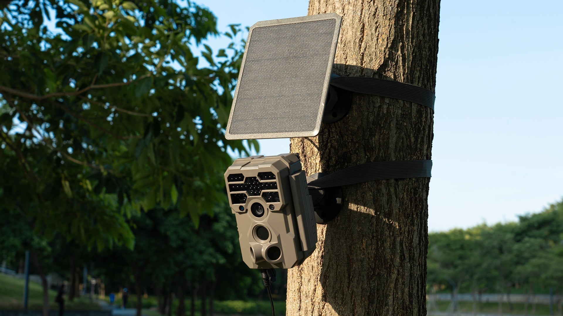 GardePro - Game & Trail Cameras