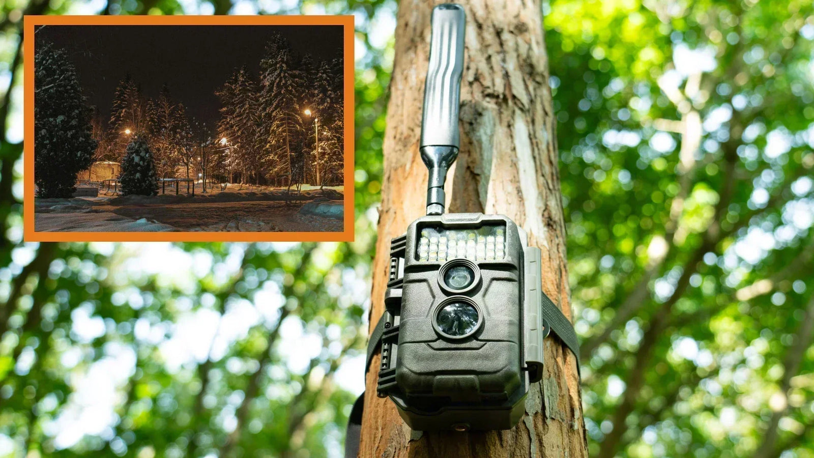 GardePro X20WF nighttime colorful trail camera review