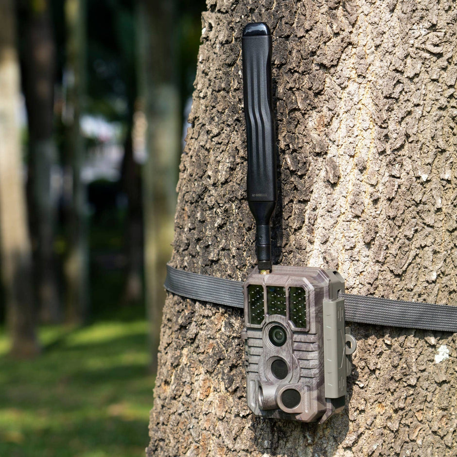 Cellular Trail Cameras | 4G LTE Game Cameras & Deer Monitors