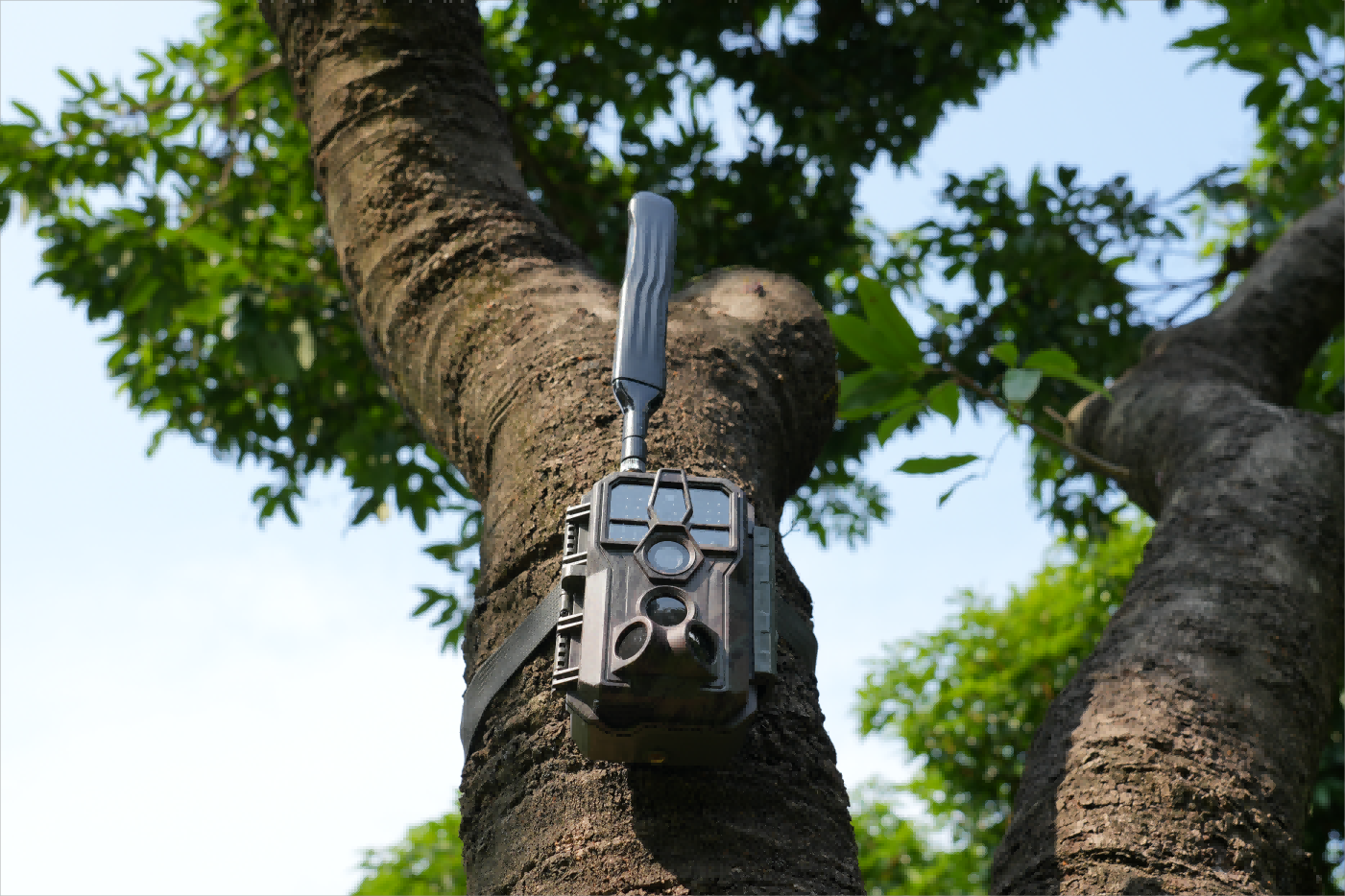 Trail Camera Instruction Manuals & Setup Guides