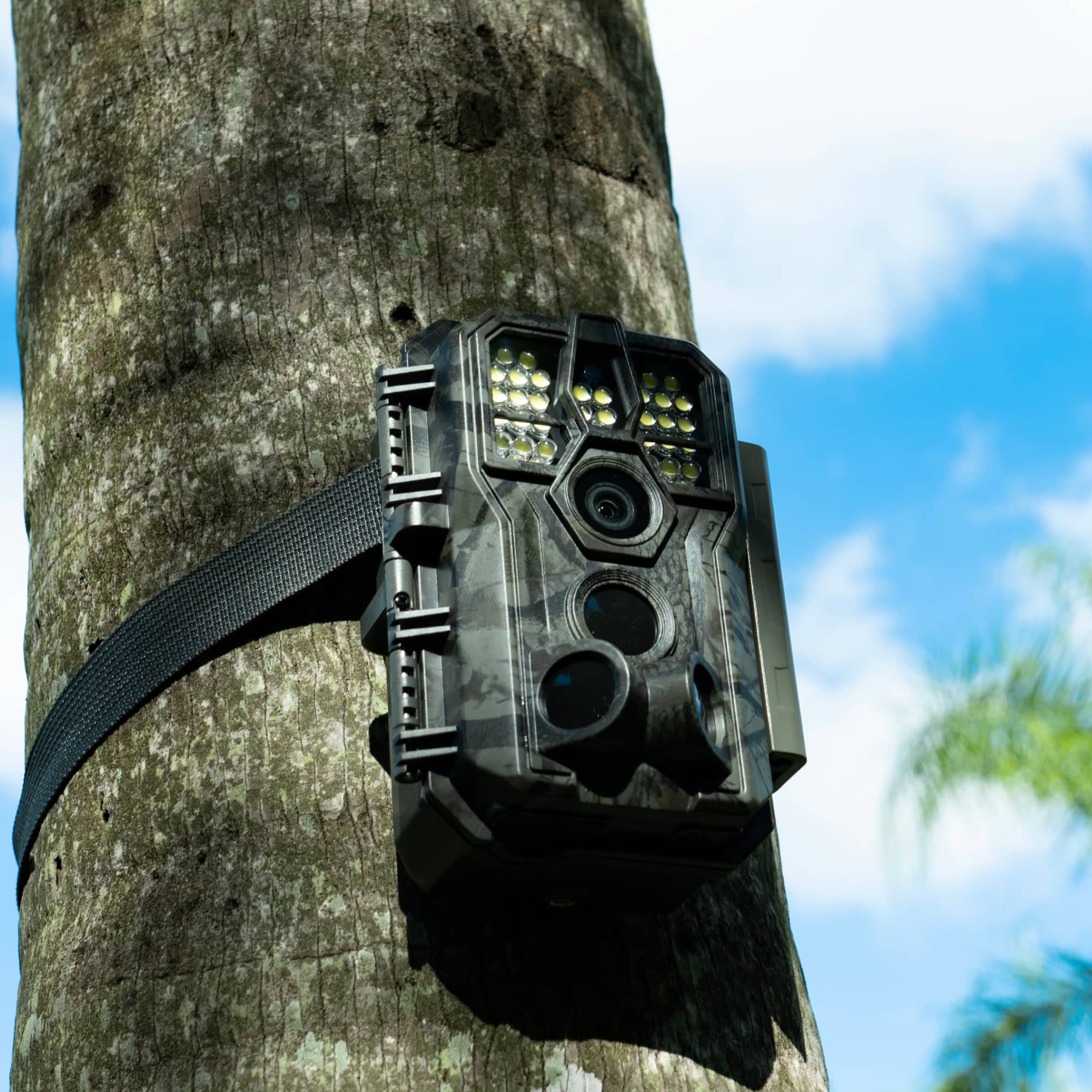 GardePro Trail Cameras: Top Wildlife & Game Monitoring