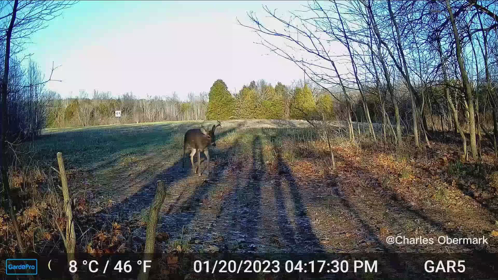 GardePro E6 – Best WiFi Game Camera for Hunting and Wildlife