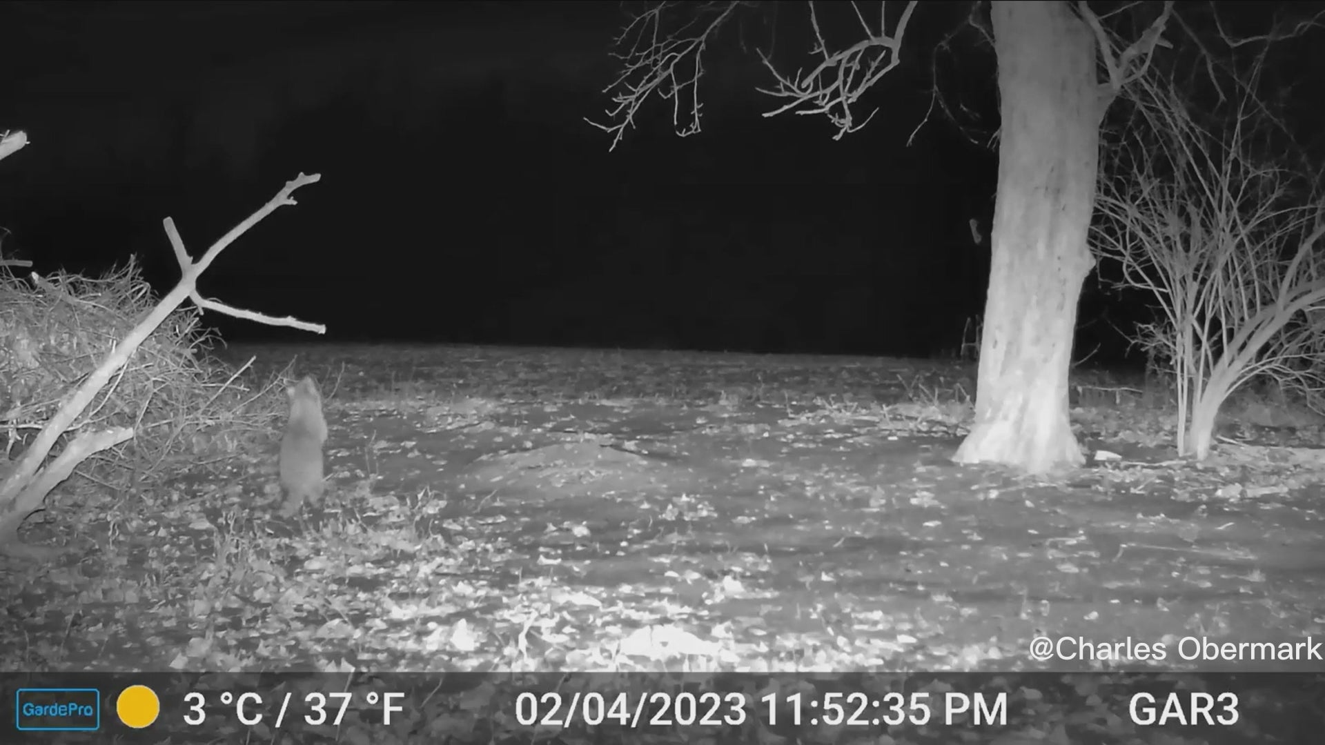 GardePro E6 – Best WiFi Game Camera for Hunting and Wildlife