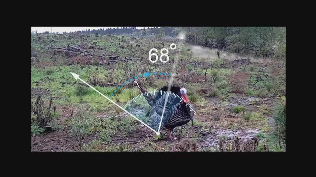 GardePro E6P Built-in 32GB Memory Wi-Fi Trail Camera