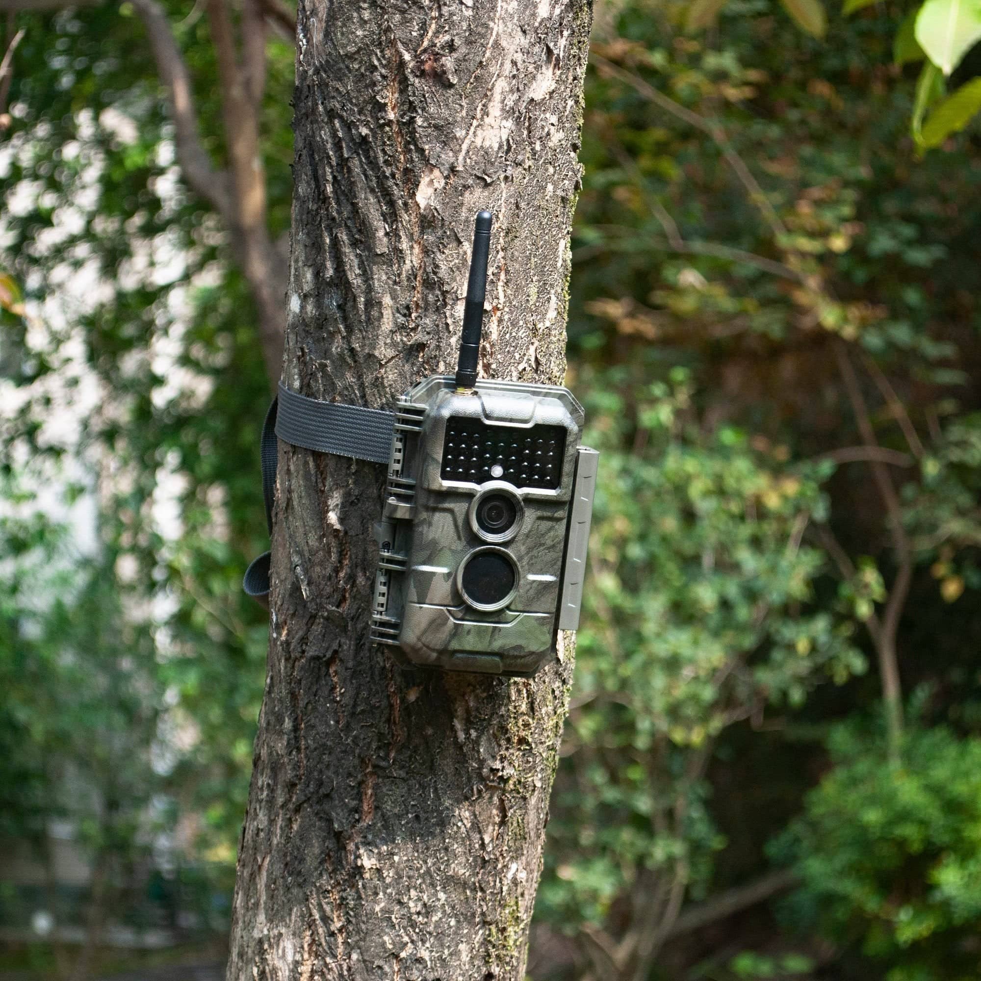 GardePro E6 – Best WiFi Game Camera for Hunting and Wildlife